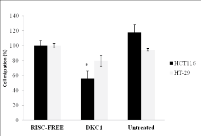 RNA Interference-Mediated Knockdown on DKC1 Gene in Chemosensitized ...
