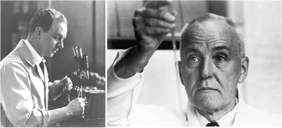 The Lesson of Molecular Oncology and Prostate Cancer: Celebrating 50 ...