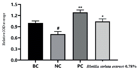 Based on In Vitro and 3D Epidermal Skin Model: The Efficacy of Bletilla ...
