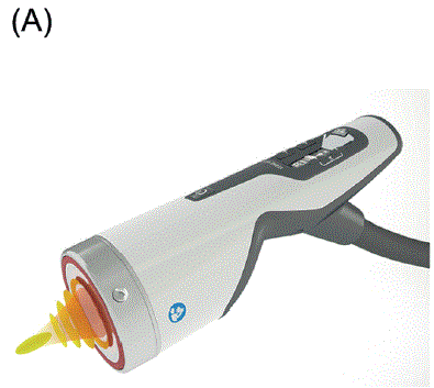 Histopathologic Examination Changes Observed as Mechanotransduction ...