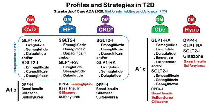 Pharmacological Management Evolution of Type 2 Diabetes Mellitus: Focus ...