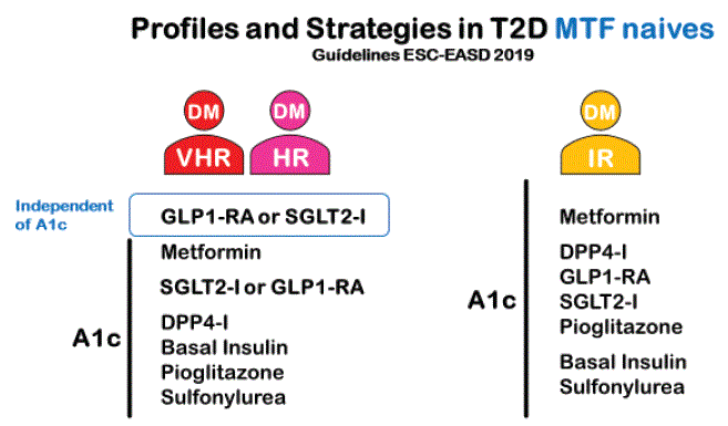 Pharmacological Management Evolution of Type 2 Diabetes Mellitus: Focus ...