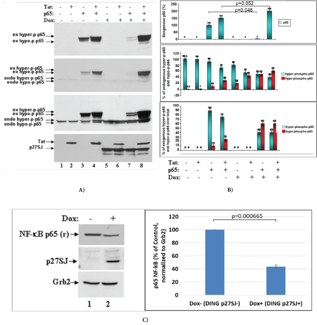 DING Protein Inhibits Transcription of HIV-1 Gene through Suppression ...