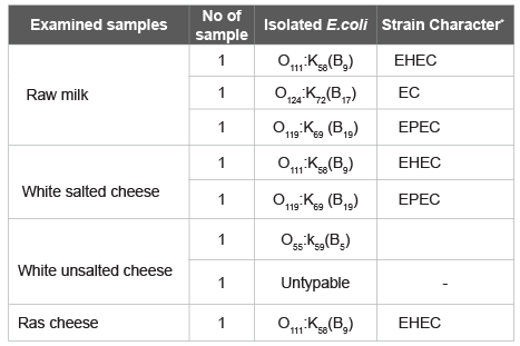 Prevalence of Coliforms, Antibiotic Resistant Coliforms and E. Coli ...