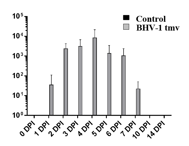 A Triple Gene Mutant of BoHV-1 Administered Intranasally in Lambs ...